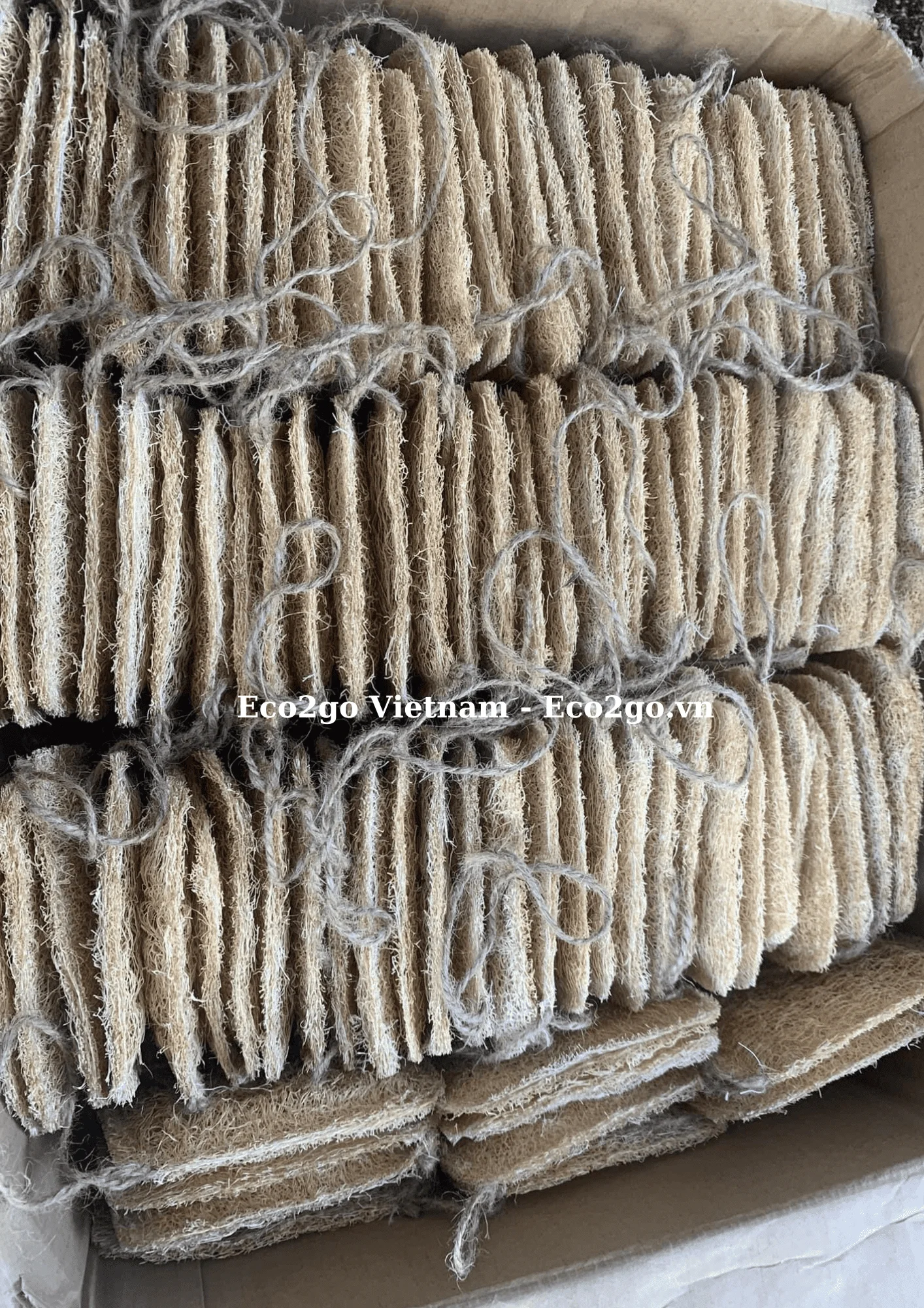 Wholesale Organic 100% Natural Loofah Sponge by Eco2go Vietnam