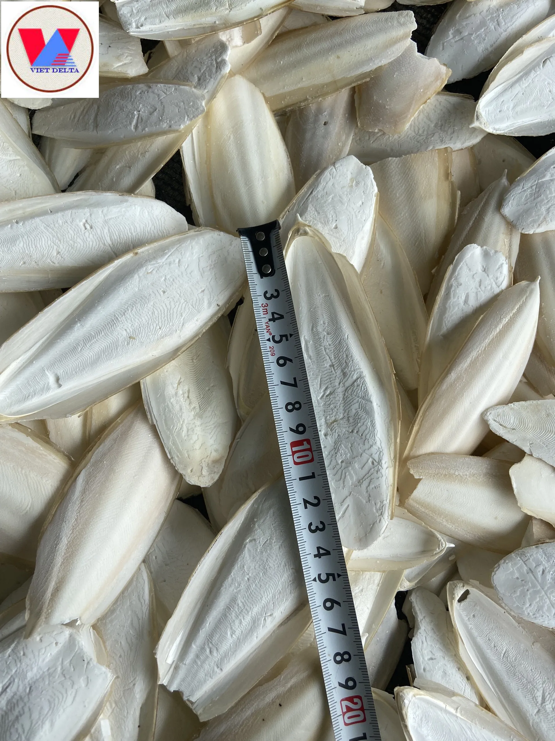 High Calcium Bird Munchies Cuttlefish Bone - Cuttle Bone - Squid Bone ...