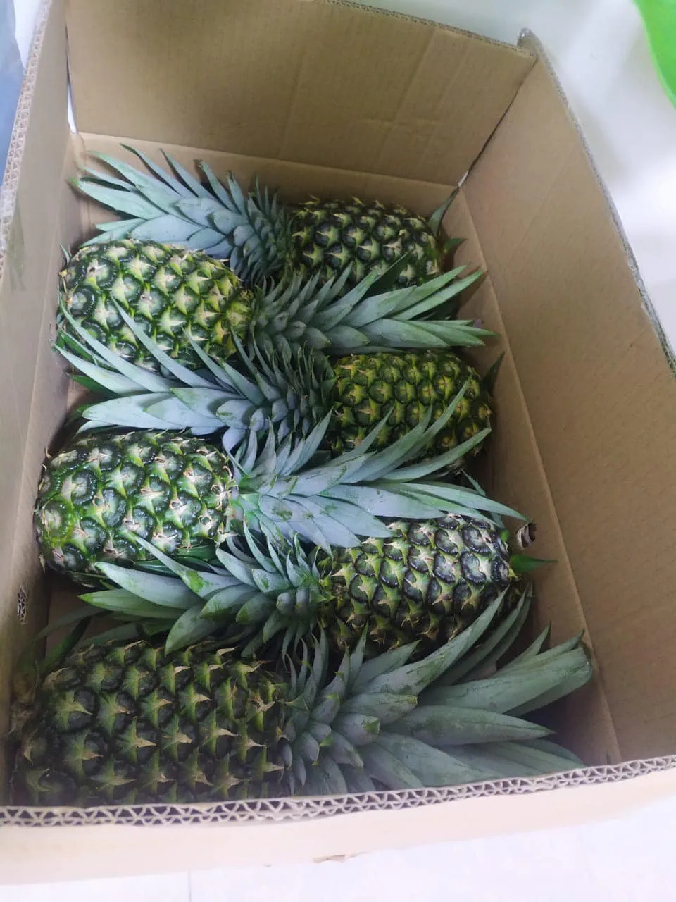 Fresh Pineapple Fruit/ Ananas Comosus/ Fresh Pineapple (wa 0084366808683) - Buy Fresh Queen ...
