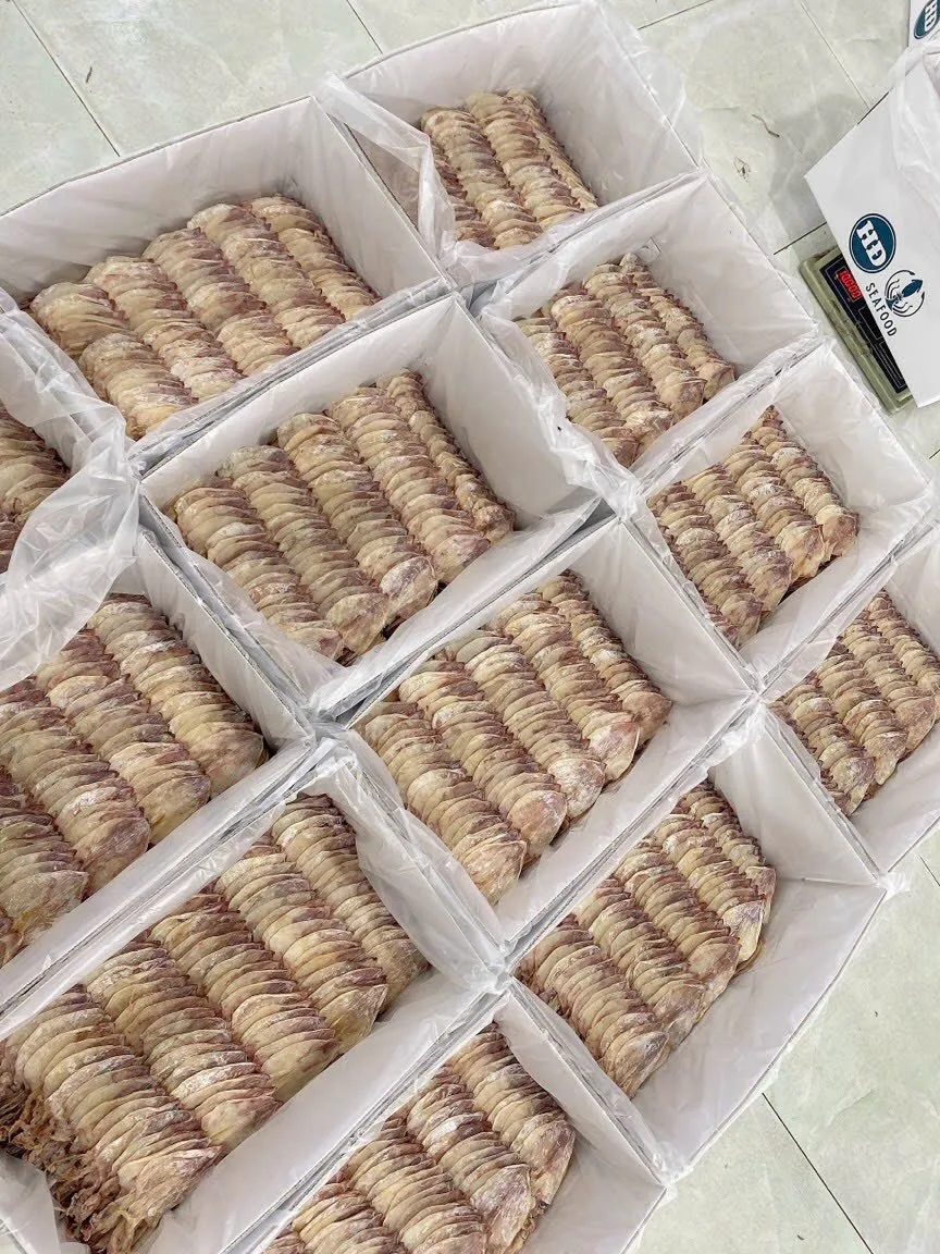 Hot Hot - Extra Virgin Dried Squid And Refined Dried Squid From Vietnam ...