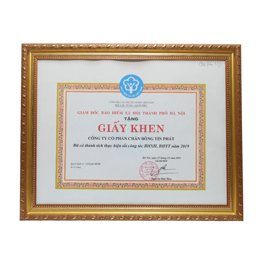 Wellon 7D HC White Color - High Quality Goose down Filling