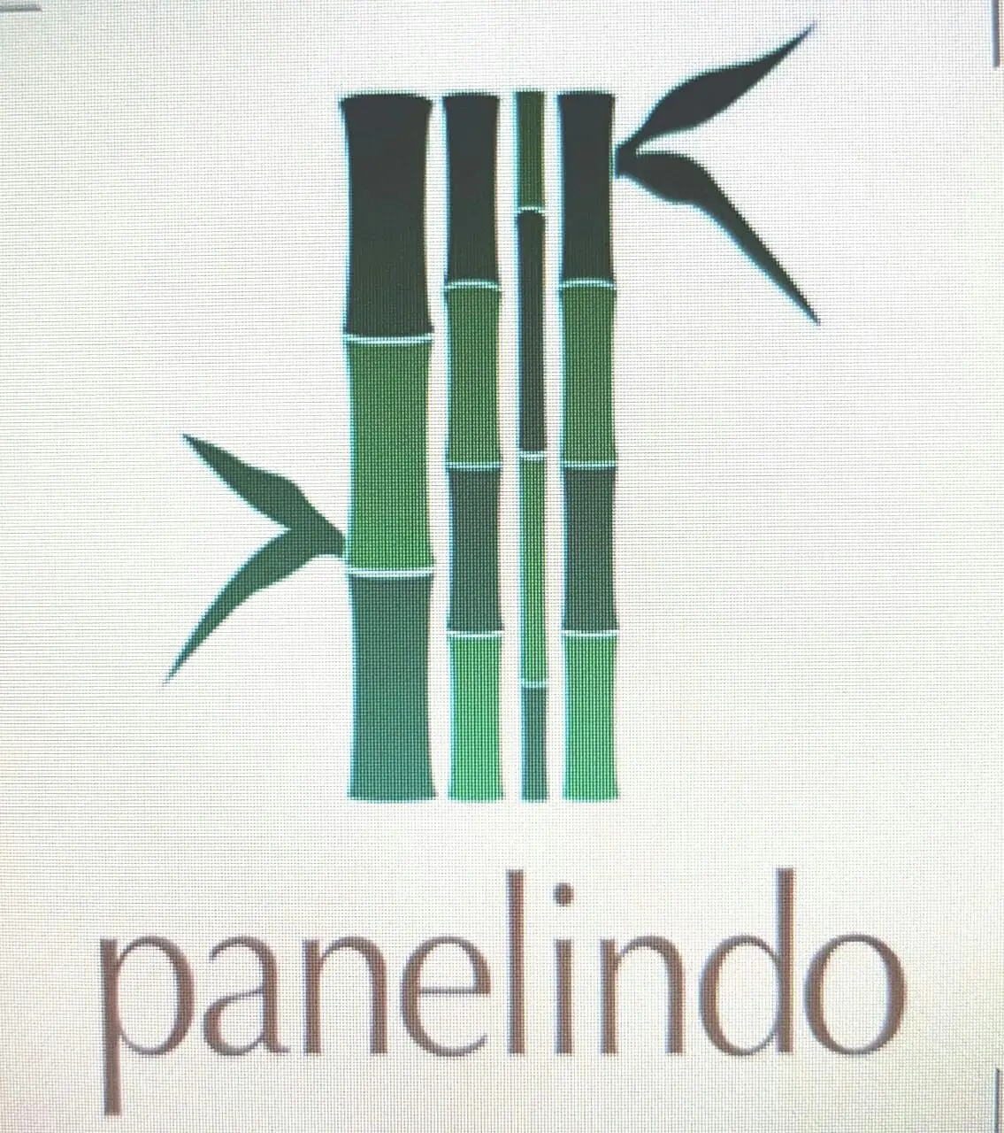 Company Overview - CV PANELINDO