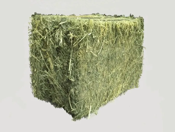 Factory Price Alfalfa Hay Double Compressed / Best Quality Alfalfa Hay ...