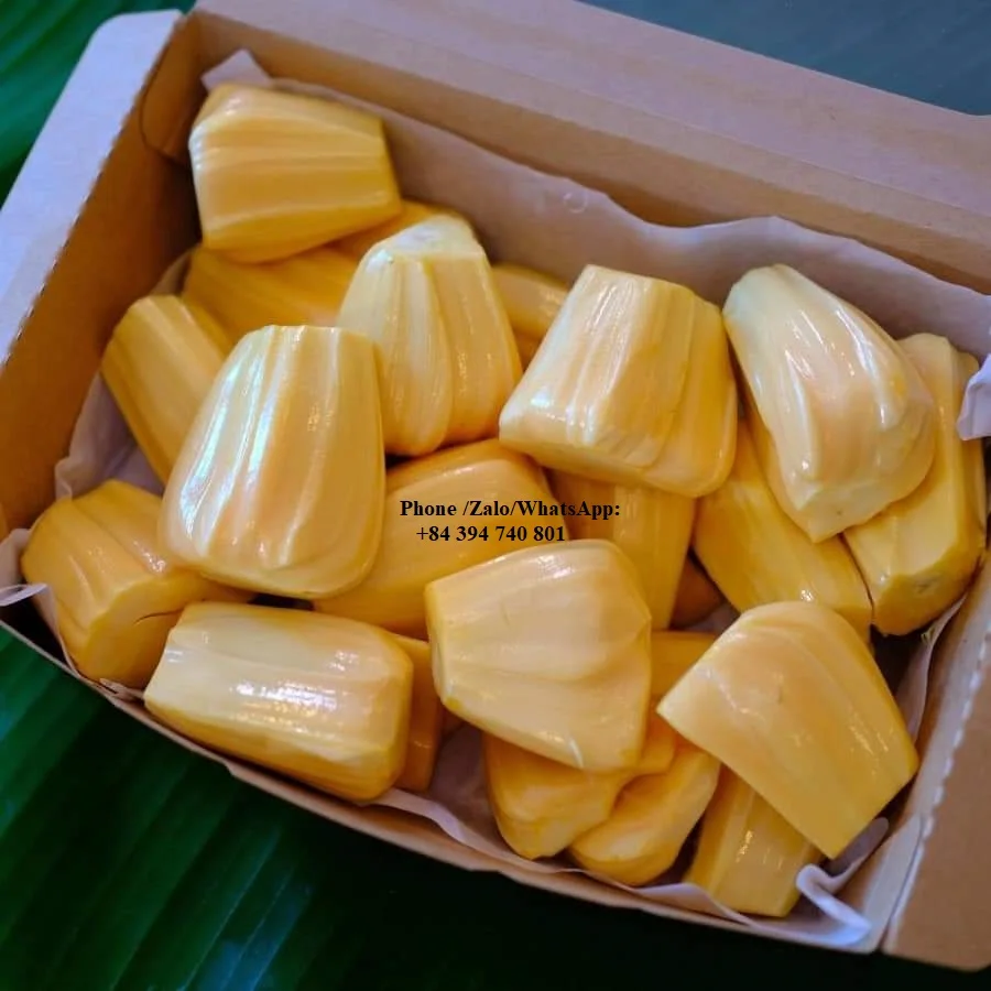 Cheap Price High Quality Fresh Jackfruit Wholesale High Quality From ...