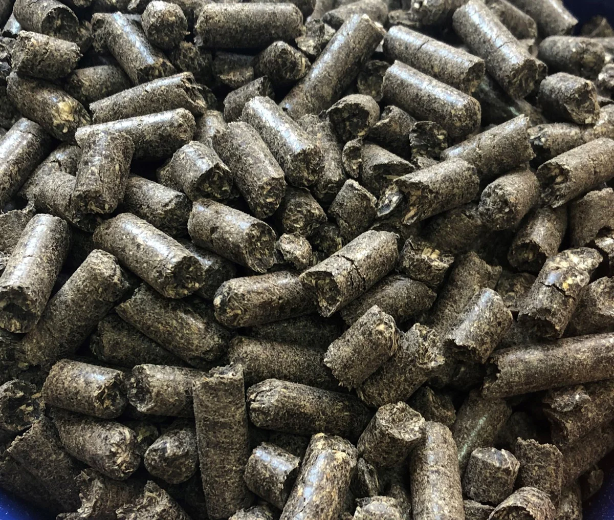 Sunflower Meal For Animal Feed Product Of Kazakhstan Animal Feed For Sale - Buy Sunflower Meal ...