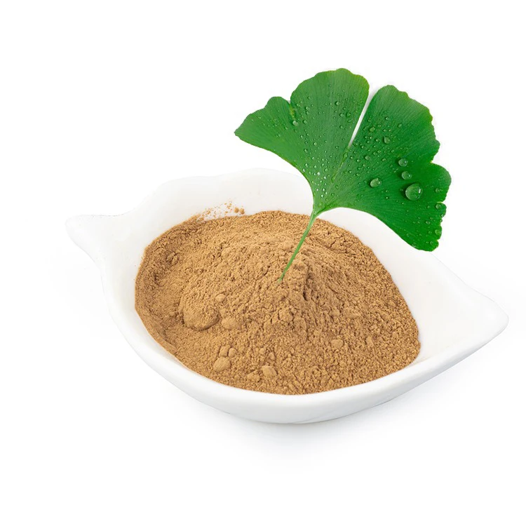 Semen Ginkgo Seed Ginkgo Biloba Extract Granular Extract Powder Ginkgo ...