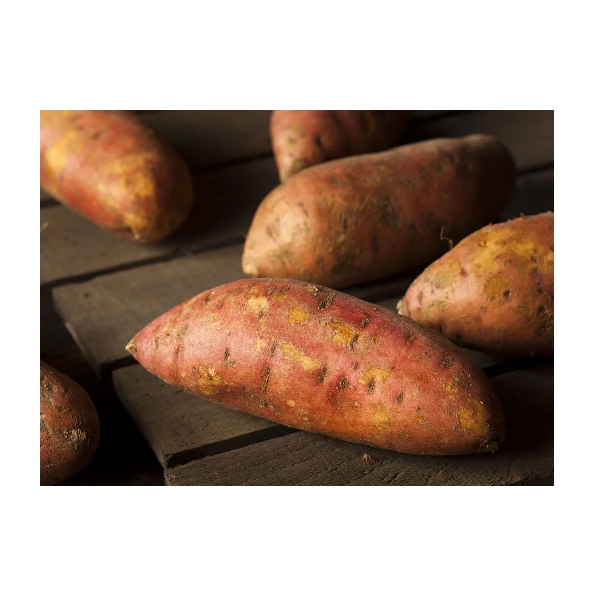 Fresh White Yam/ Purple Yam Nutritious Delicious From Vietnam ...