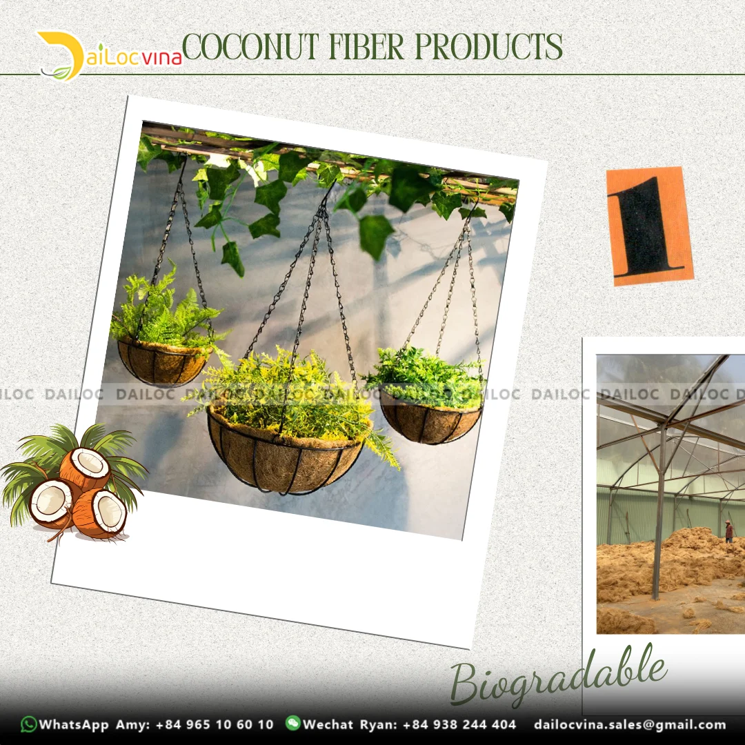 Sustainable Coconut Coir Fiber - Global Export from Vietnam