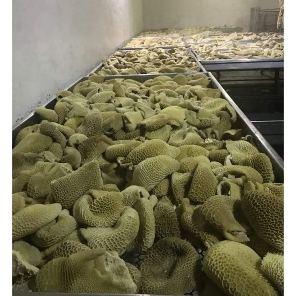 Beef Honeycomb Tripe Frozen Cow Honeycomb Tripe For Supply Available ...