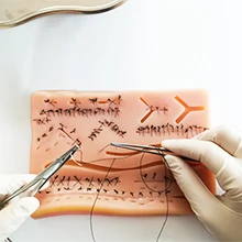 Suture Practice Kit Complete With Dissection Kit Tools Suture Training ...