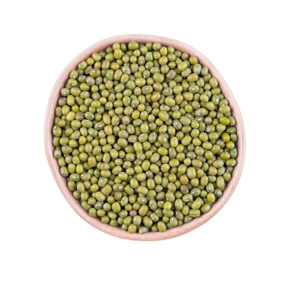 Dried Mung Bean/moong Dal Seed/sprouting Seeds Mung Bean - Buy High ...