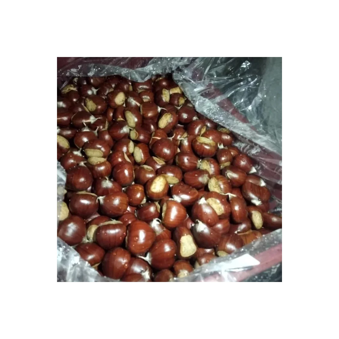 Fresh Chestnut For Roasted Chestnuts Not Chestnut Peeling Machine - Buy ...