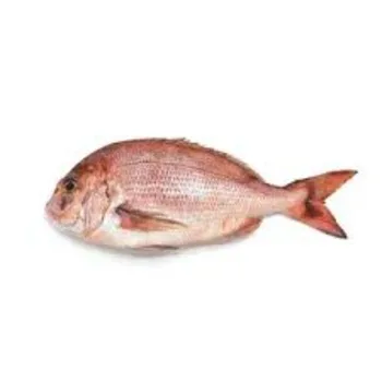 Frozen Fish Red Seabream,Frozen Fish Red Seabream Suppliers - Buy ...