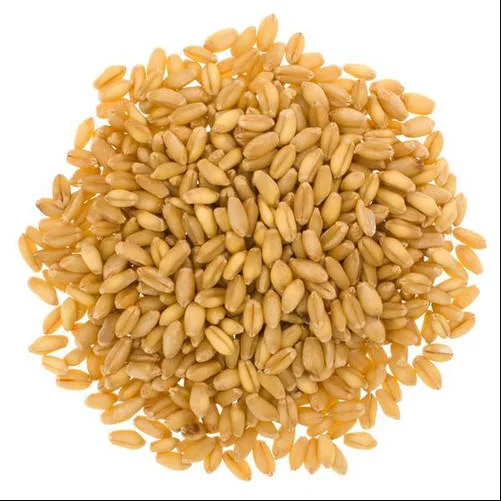 Wheat Bran / Pollard For Sell - Buy Wheat Pollard Wheat Bran Rice Bran ...