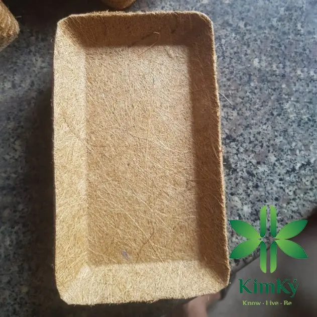 Vietnam 2024 New Product For Dry Food Vegetable Fruit Packaging All ...