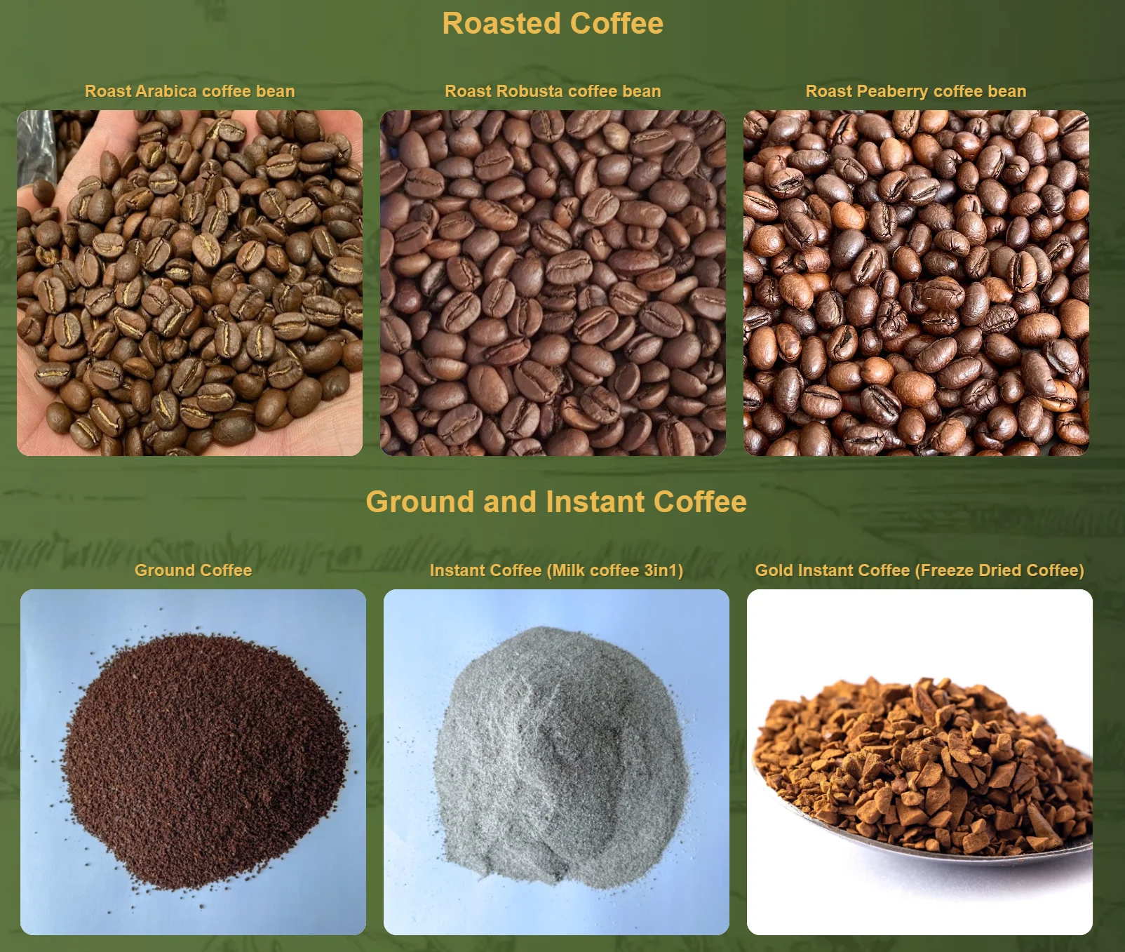 THAILAND ROBUSTA COFFEE BEAN SCR16 SCR18 WASH CLEAN WET POLISH HIGH ...