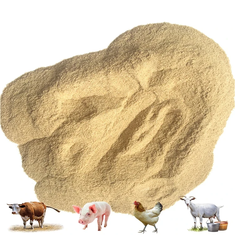 2024 Bulk Soybean Meal - 60% Protein Animal Feed for Sale