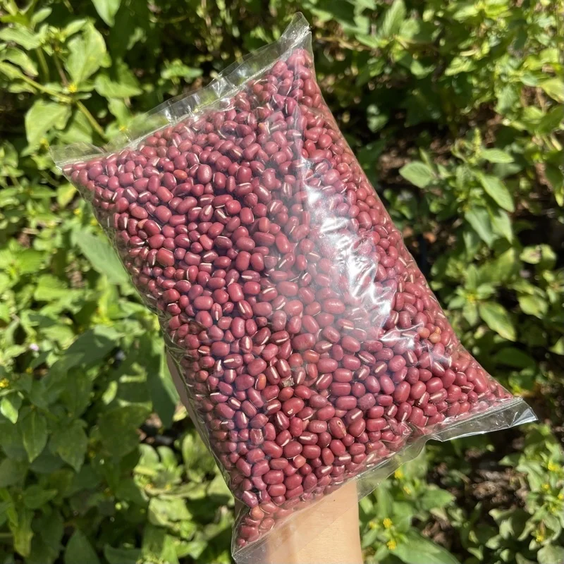 High Quality Dried Organic Round Type Small Red Azuki Beans Red Beans ...