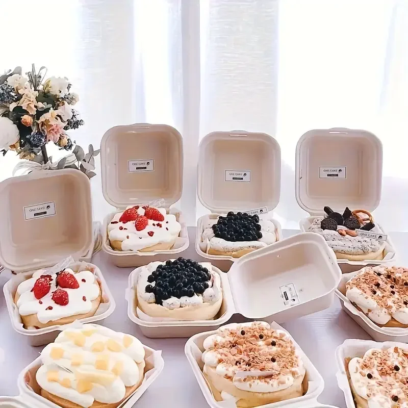 Eco-friendly Biodegradable Disposable Lunch Box from Bagasse