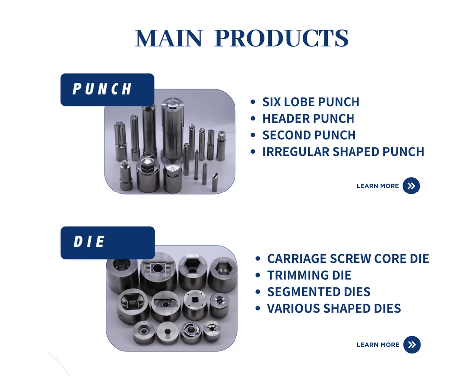 Diverse Shaped Punch from Taiwan CNC Machine with Carbide Material