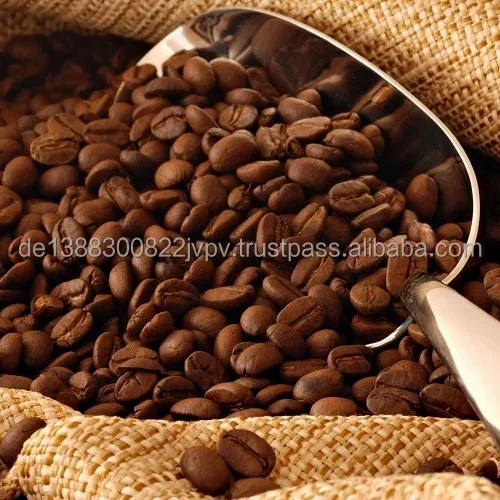 Green Bulk Arabica Coffee Beans / Brazilian Coffee Beans For Sale ...