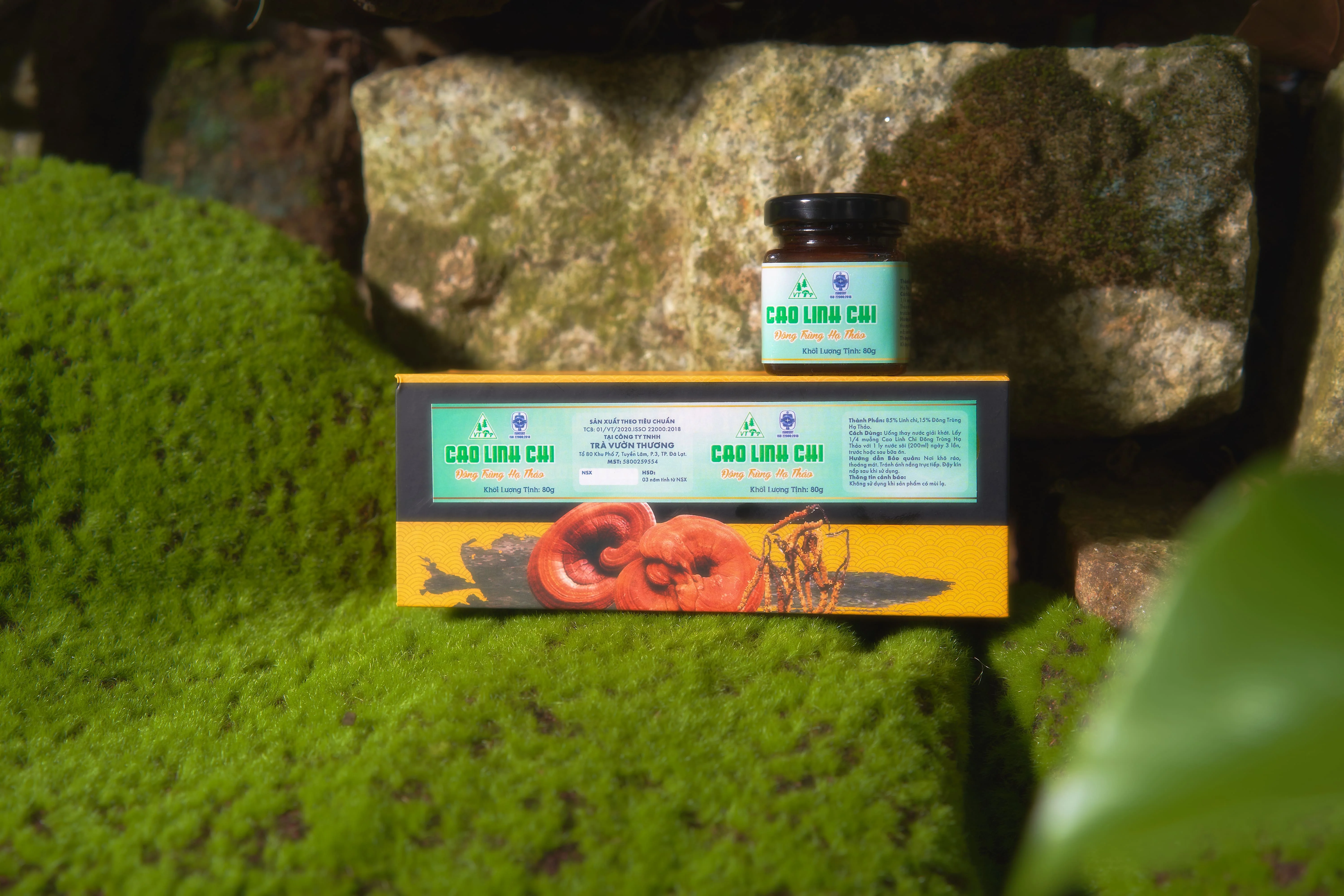 Cheap Price Precious Food Glue Extracted From Reishi Mushroom Cordyceps ...