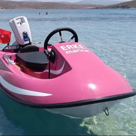 Ocean Seajoy Water Gokart Pink Water Go-kart Electric Canoe Electric ...