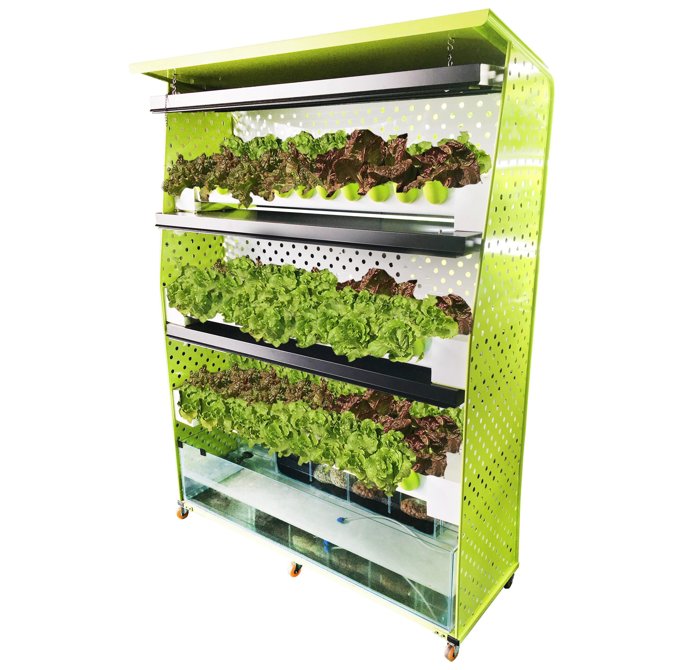 143 plants Hydroponics Growing System, 3-Tier Hydroponic Container ...