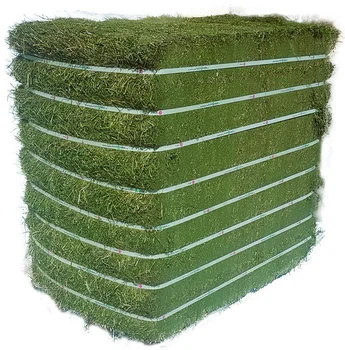 Top Quality Alfalfa Hay Feed Bales Packaging Cattle Horse Food Grade ...