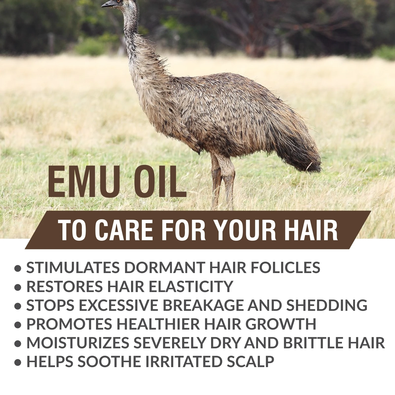 Emu Oil 100% Pure And Natural Wholesale Bulk Lowest Price Customized ...