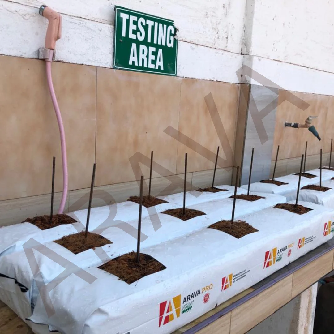 Low EC Coco Peat Growbags Slab in Greenhouse - Eco-friendly