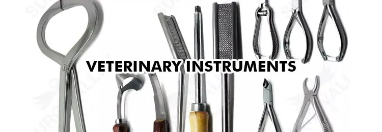 2026 New Arrival Reusable Stainless Steel Veterinary Surgical ...