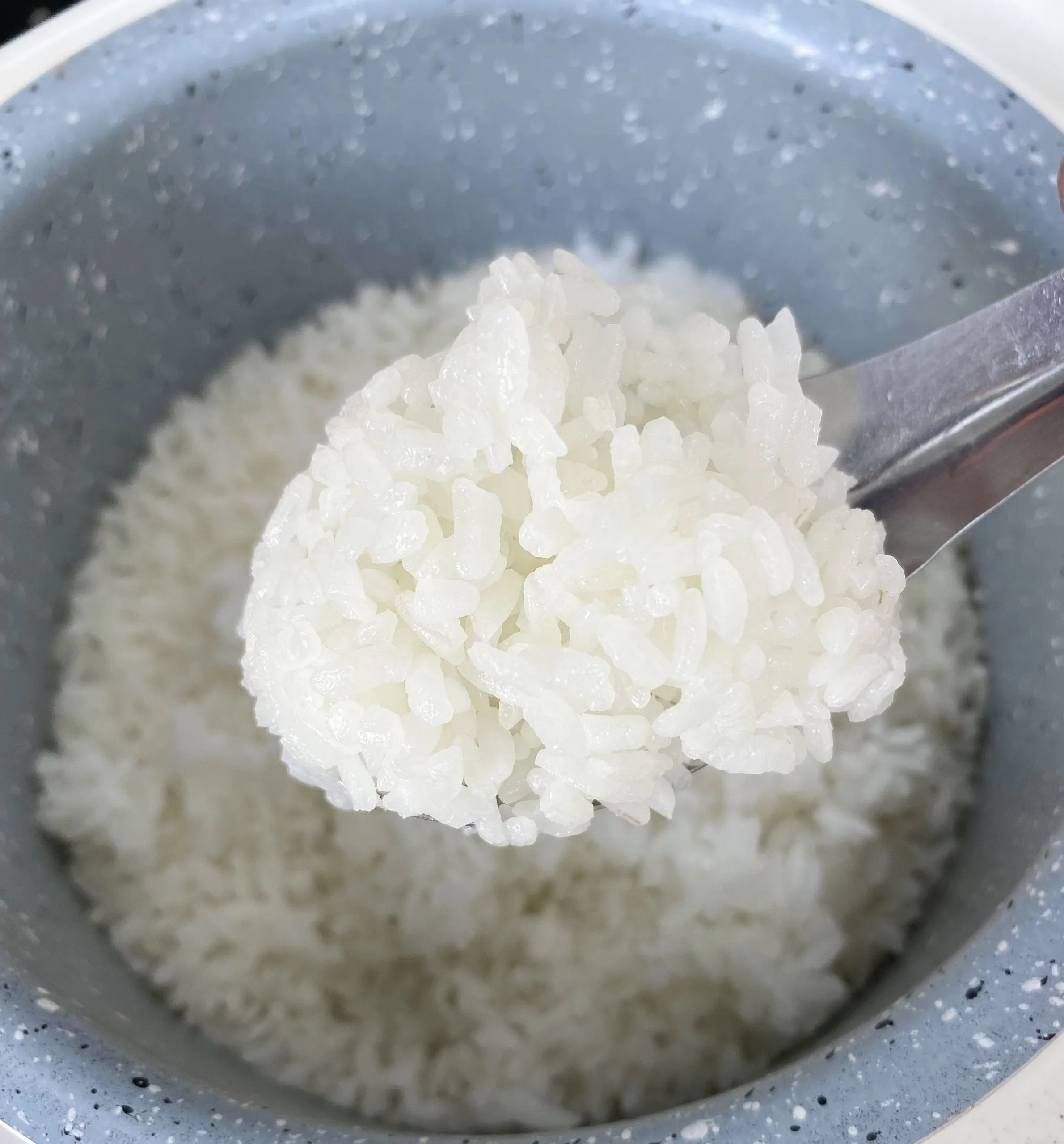 Vietnam Japonica Rice Superior Quality Fresh Specialty White Soft Short ...