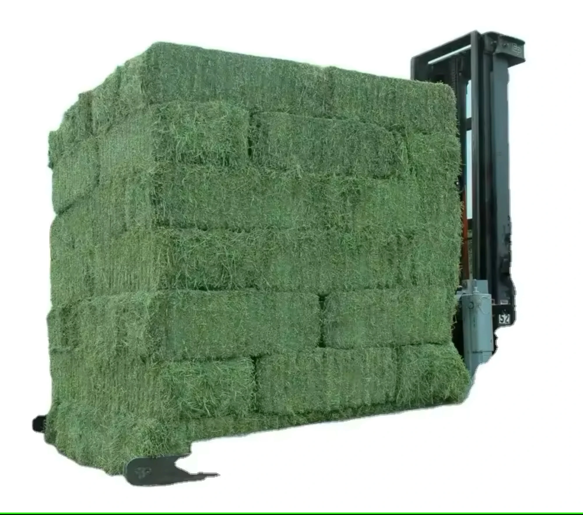 Superior Grade Alfalfa Hay: Ideal Feed For Livestock And Horses - Buy ...