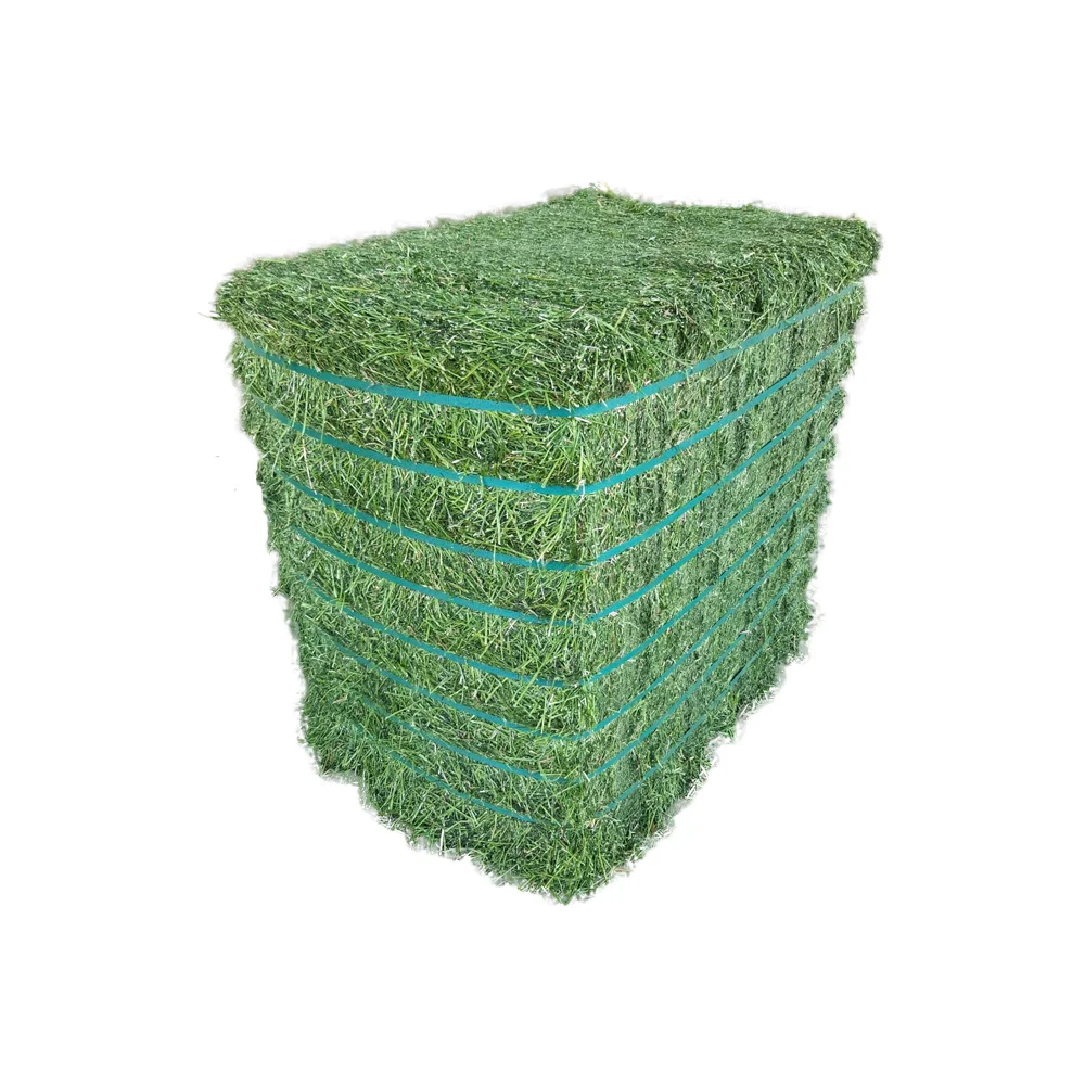 Alfalfa Hay at very cheap price / Quality Rhodes Grass Hay Alfalfa ...