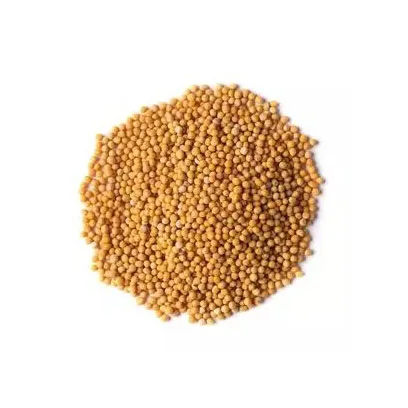 Fresh Quality Cattle Feed Pure Grain Rice Bran Yellow Mustard Seeds ...