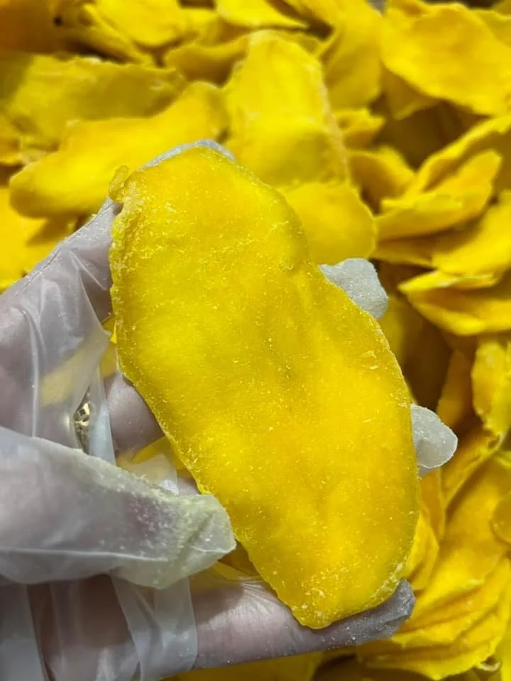 Vietnam Product - Soft Dried Mango Slices with Low Sugar