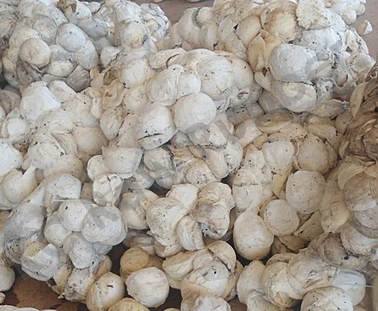 Wholesale Natural Rubber Latex / Rubber Cup Lumps Available For Sale ...