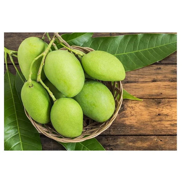 Fresh Mango Fruit Ready To Export Mangoes - Buy Bulk Fresh Fruit ...