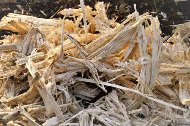 Viet Delta Sugarcane Bagasse Powder for Shisha - 24 Months Shelf Life