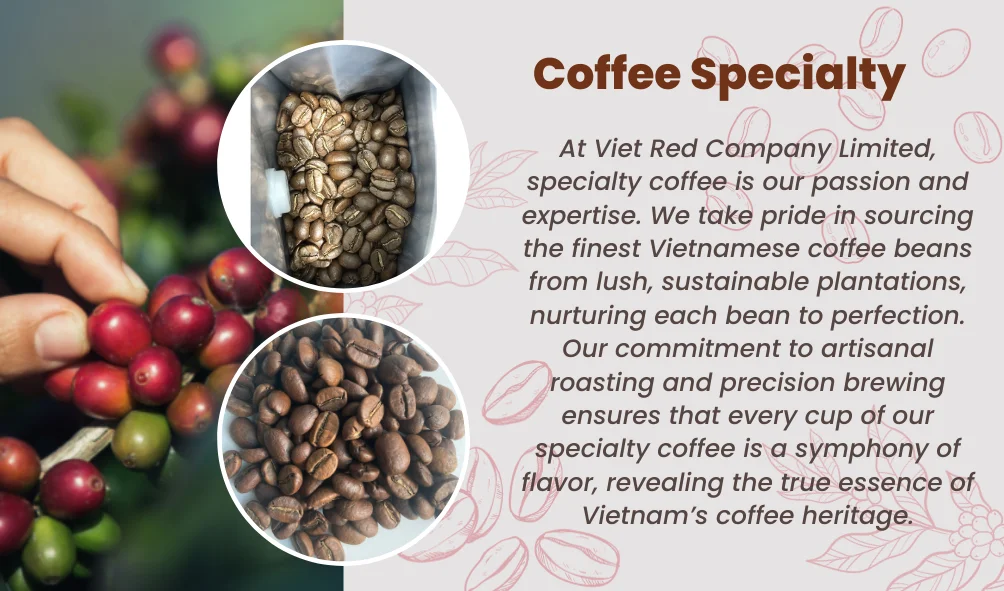 Best Flavour Coffee - Roasted Arabica Robusta Coffee Beans - Specialty ...