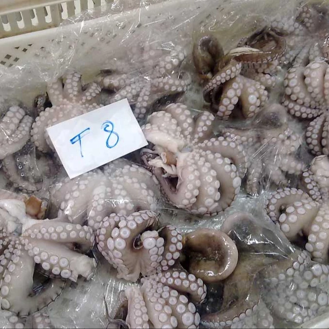 Cheap Frozen Baby Octopus/big Size Octopus With Competitive Price ...