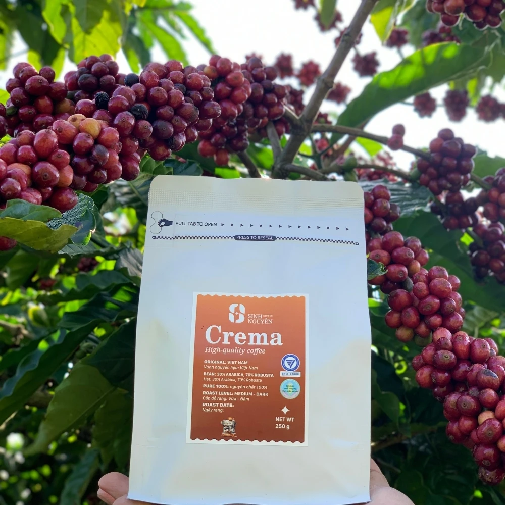 Vietnam Espresso Coffee Beans 70 Robusta 30 Arabica for Thick Crema and Flavor| Alibaba.com