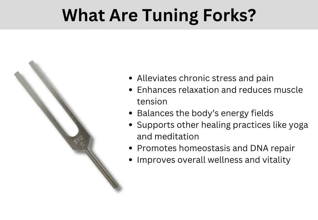 Stainless Steel Tuning Fork Manual Power Source Medical Diagnostic ...