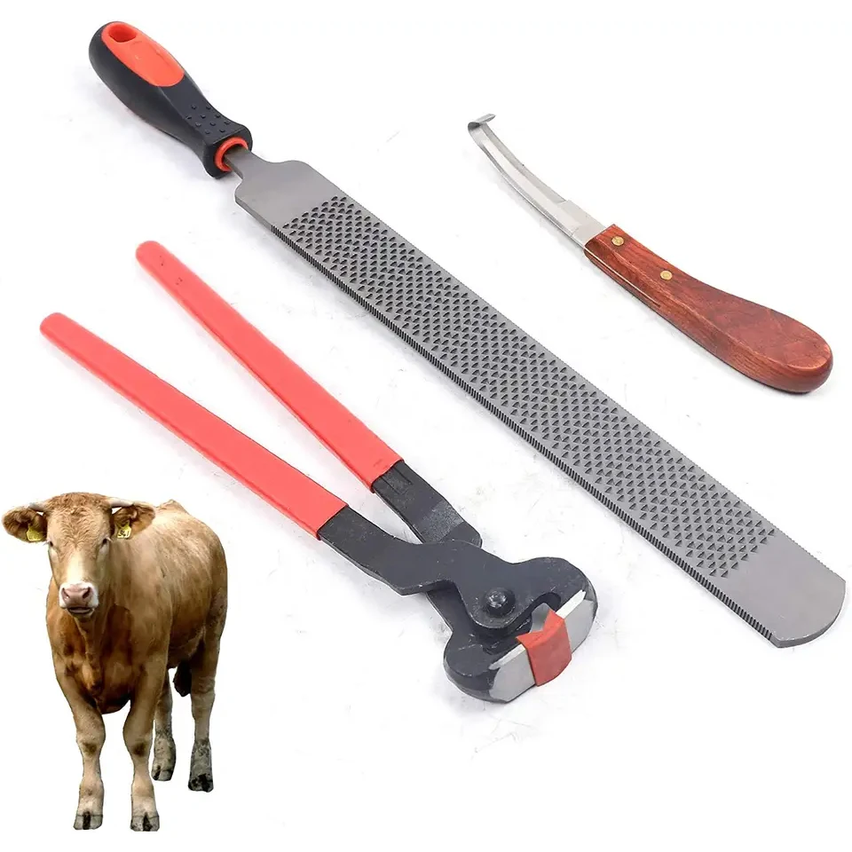 Professional Farrier Tools Made Of High Quality Steel Material,Sturdy ...