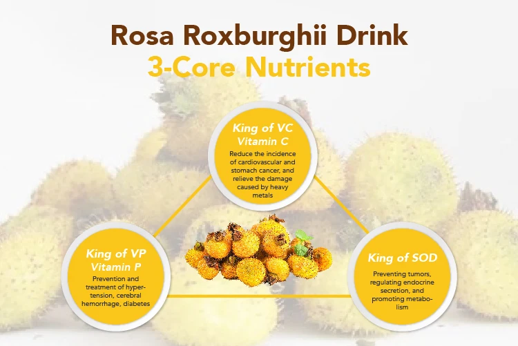 Multiple Nutrients Roxburgh Rose Extract Supplement For Sleep Aid ...