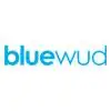 Company Overview - BLUEWUD CONCEPTS PRIVATE LIMITED