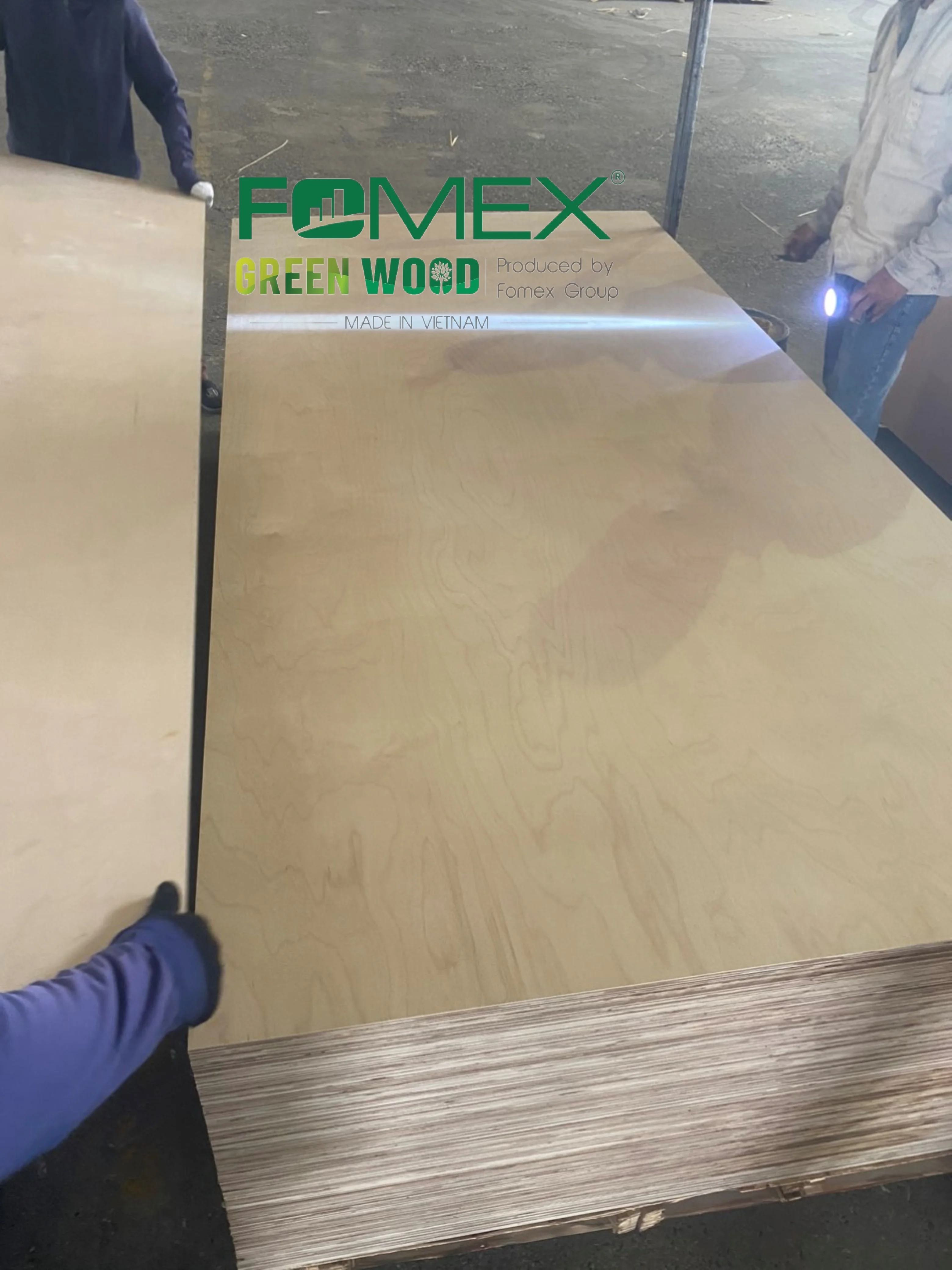 Vietnam Manufactured 5-24mm 4x8ft C/d Grade Birch Plywood Made Of Eucalyptus/ Acacia For Us ...