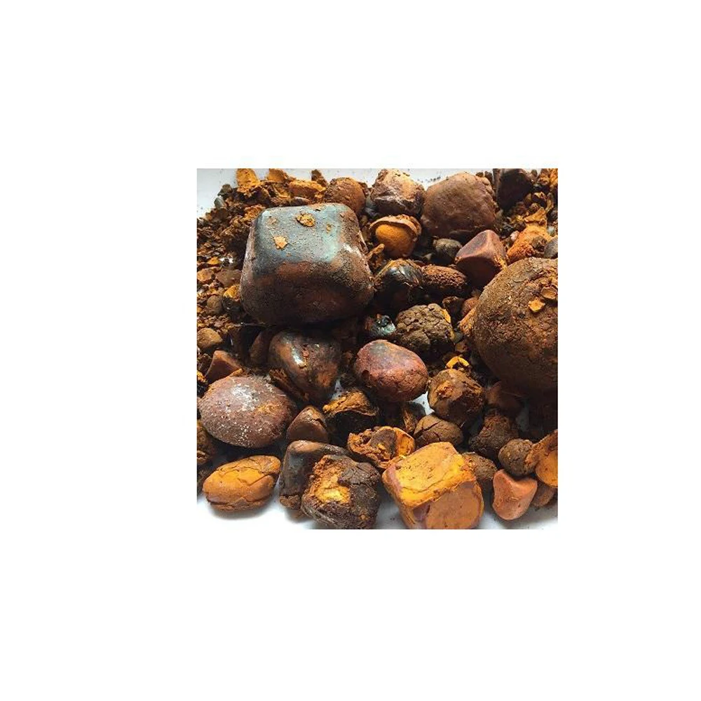 Cattle Gallstone Cow Gallstone Ox Gallstone Ox Bezoars Cow Bezoars ...
