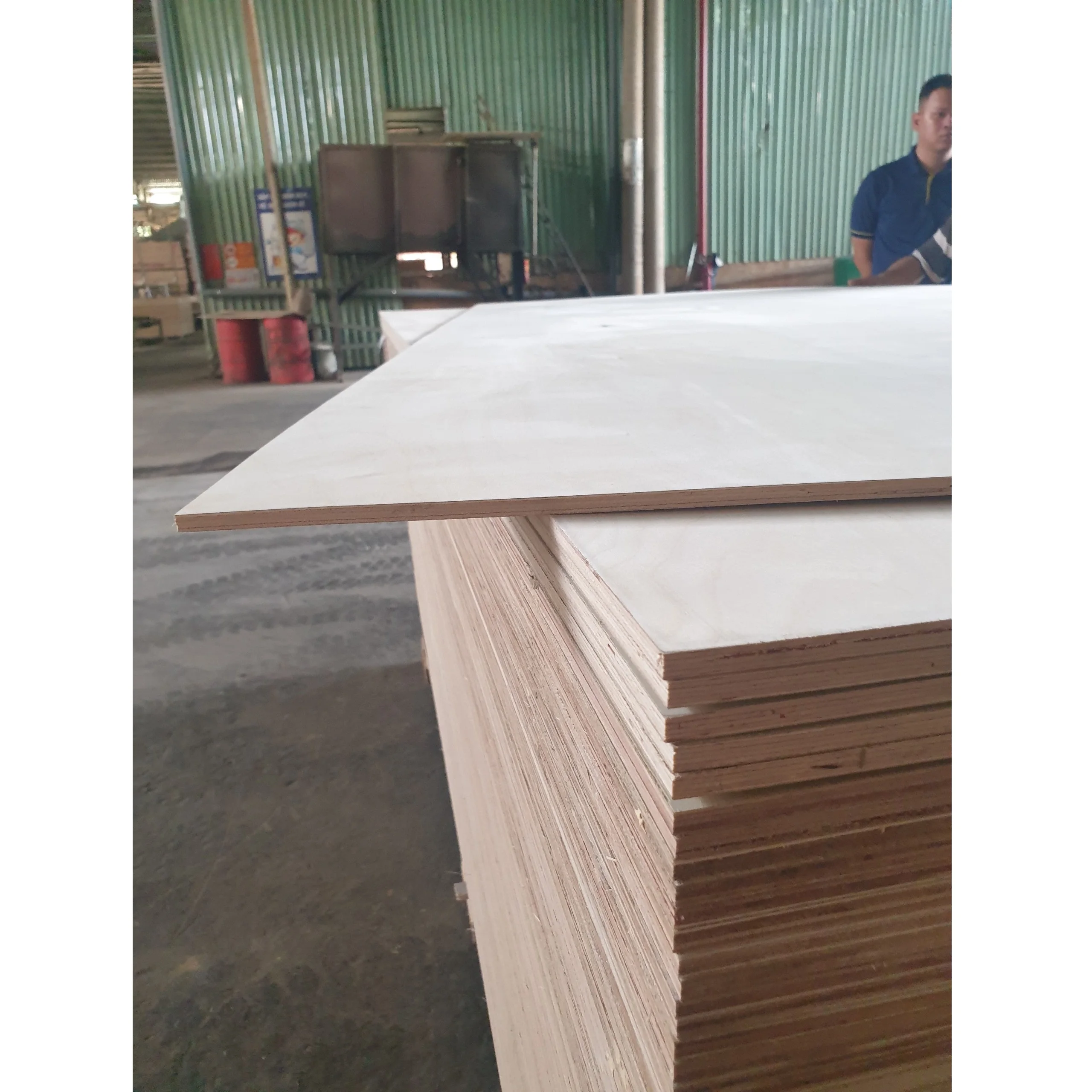 Multi Thickness Furniture Plywood Hardwood FIRST-CLASS Melaleuca Acacia ...